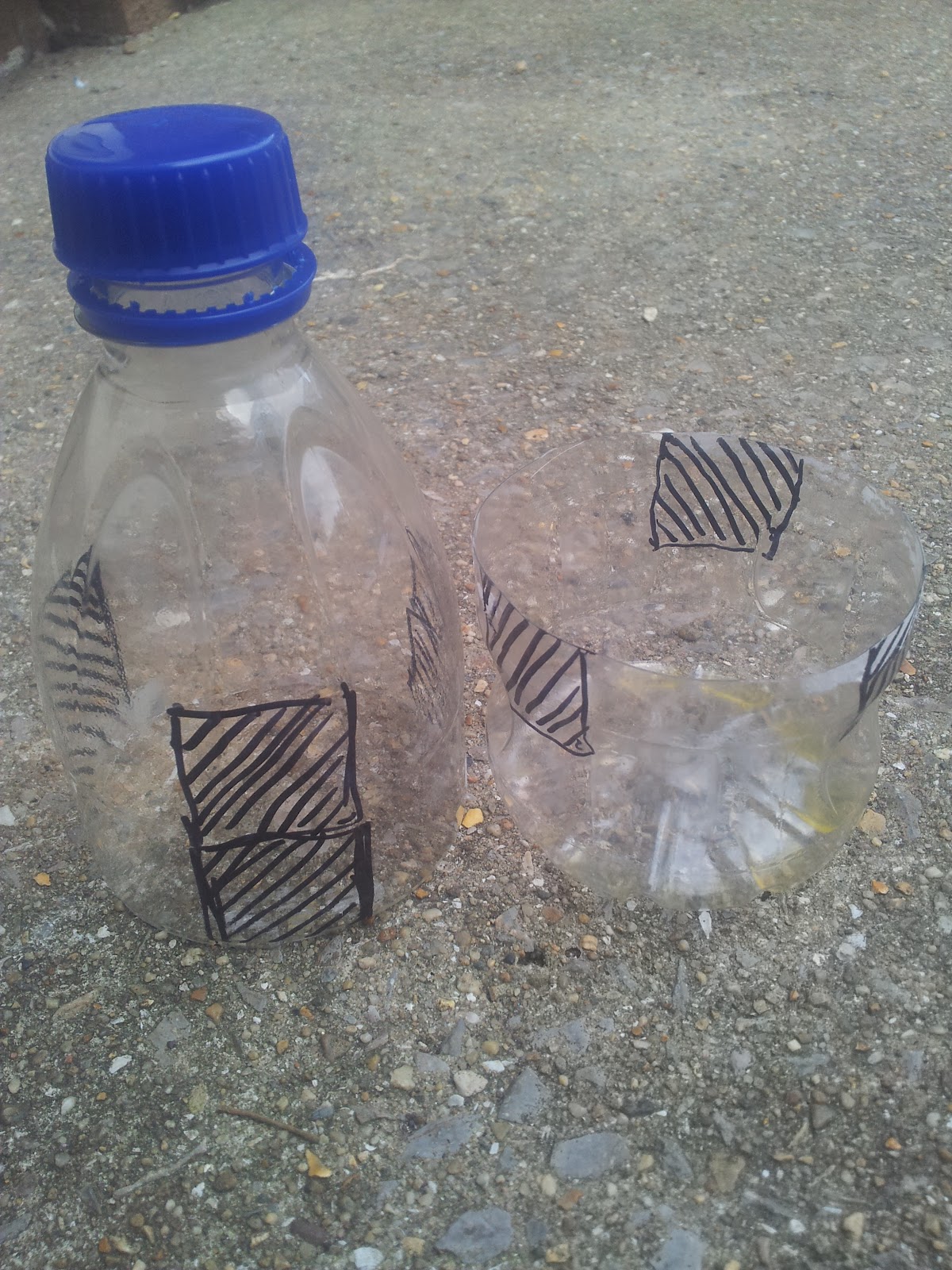 The beginner gardener: DIY slug traps