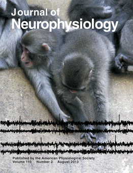 NeuroDojo: August 2013