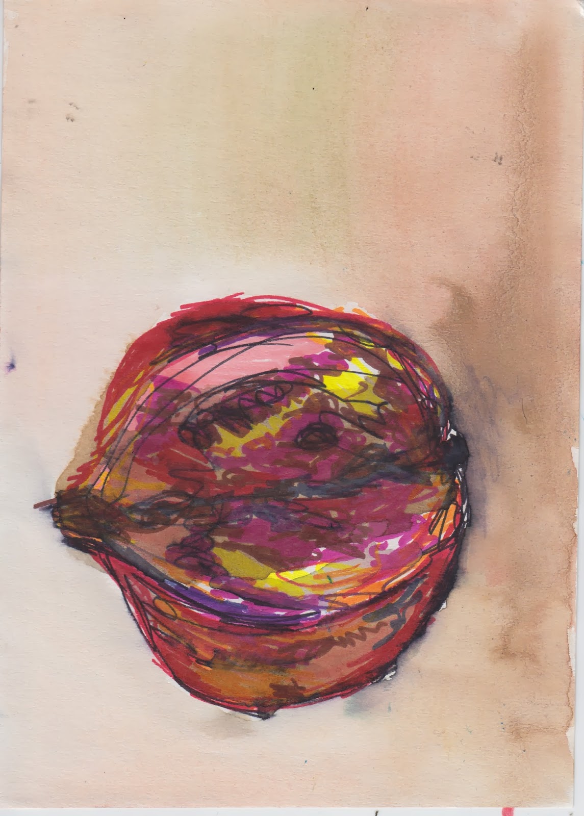 Final Major: Observational Drawings