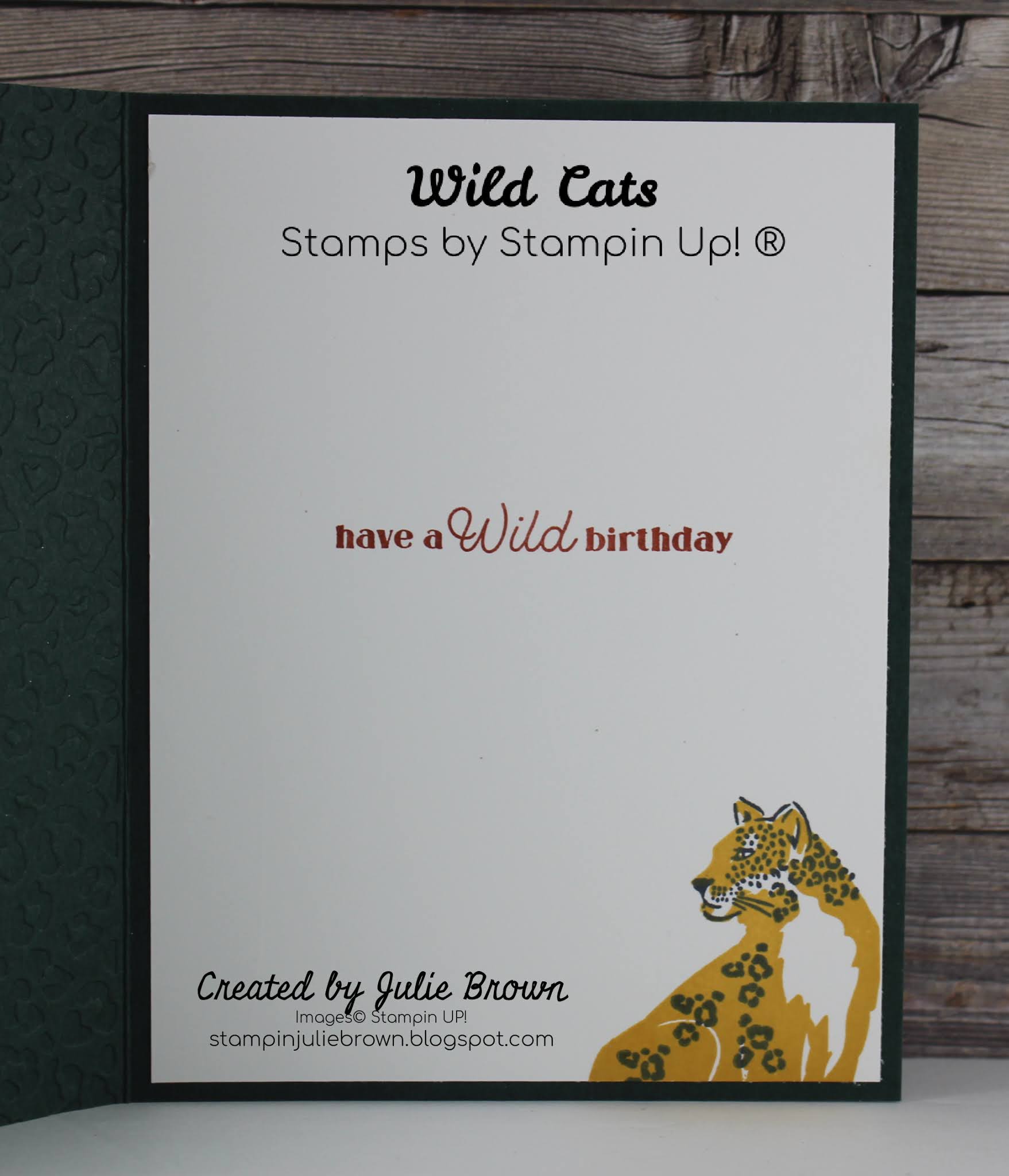 Wild Cats Embossed Birthday Card - Julie's Creative Stamping