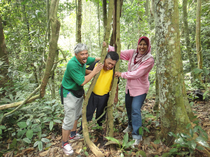 Taking the path less travelled ...: XPDC Rafflesia at Ulu Geroh, Gopeng ...