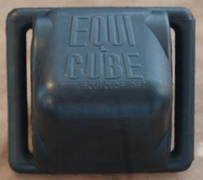 Dream Big: First Faux EquiCube Ride