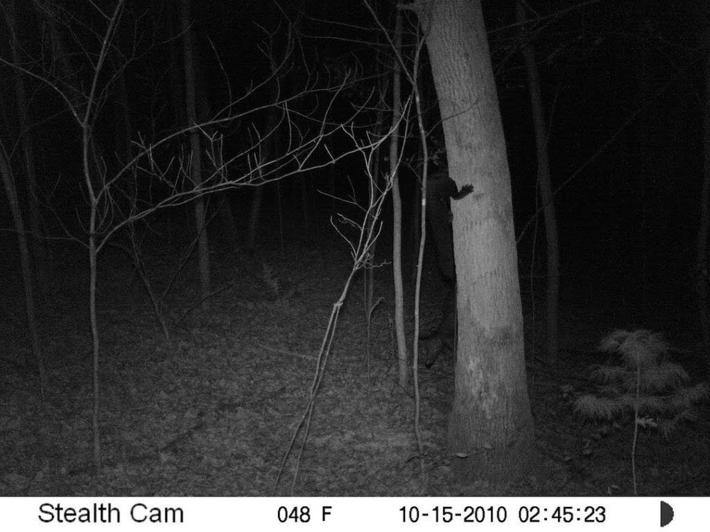 More Creepy Trail Cam Photos ~ The Crypto Crew