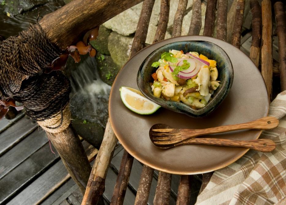 DUDE FOR FOOD: Health and Wellness: Raw Living Food Cuisine from The ...