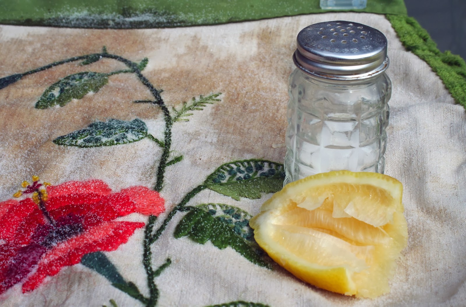 Thankful Expressions: Easy Stain Solution - Lemon, Salt and Sunshine