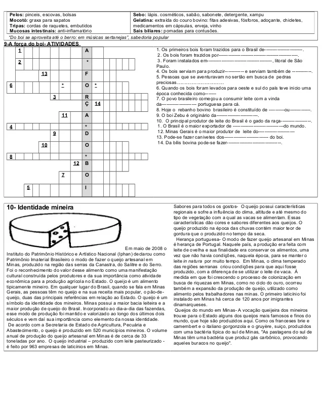 ATIVIDADES DIVERSAS CLÁUDIA: Atividades - culturas de Minas Gerais