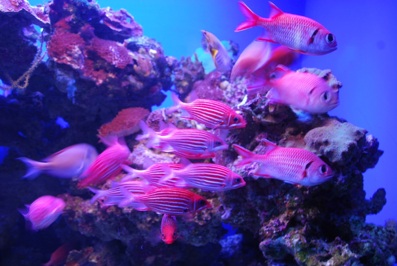 Artefactos: enero 2012