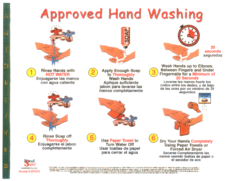 Body, Mind and Whole: Happy Hands: Correct Hand-washing Technique