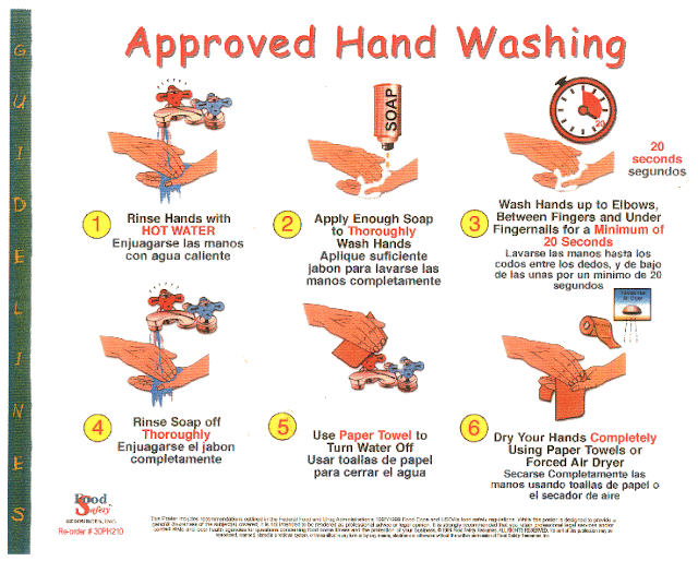 Body, Mind and Whole: Happy Hands: Correct Hand-washing Technique