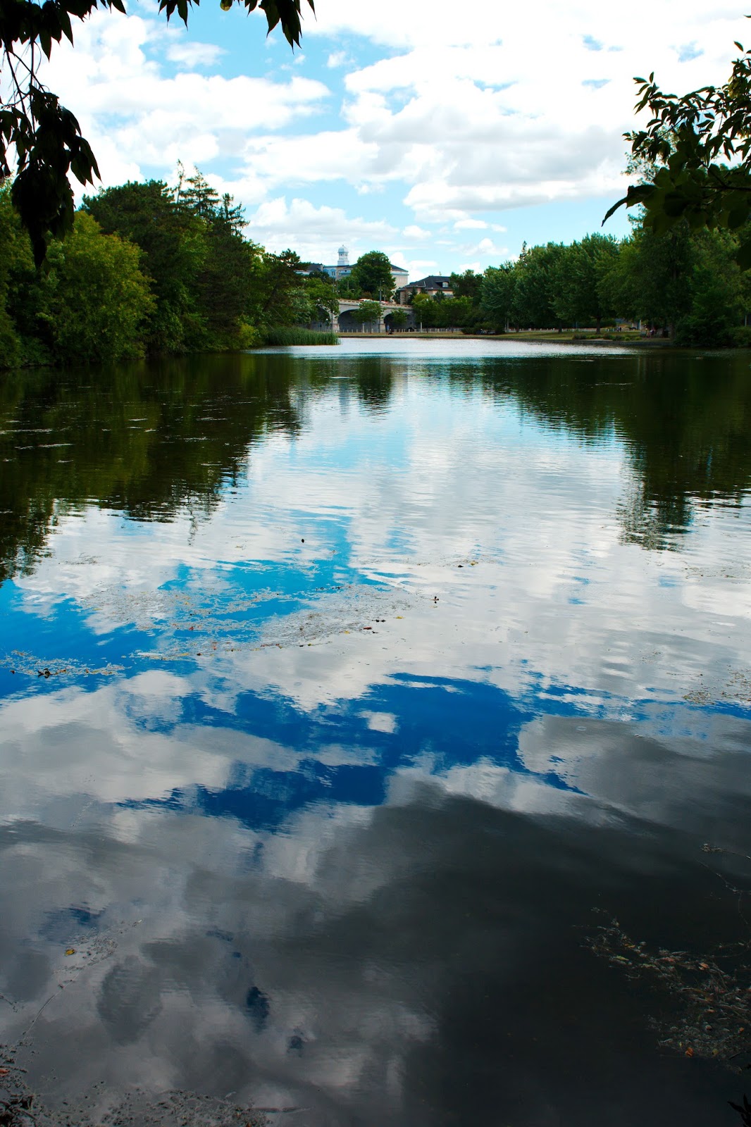 The Brown Knowser: Brown's Inlet
