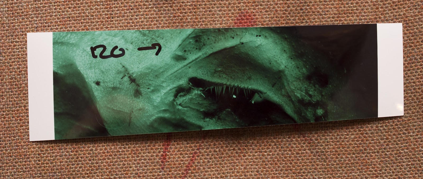 Harry Scott Photography: The Commission