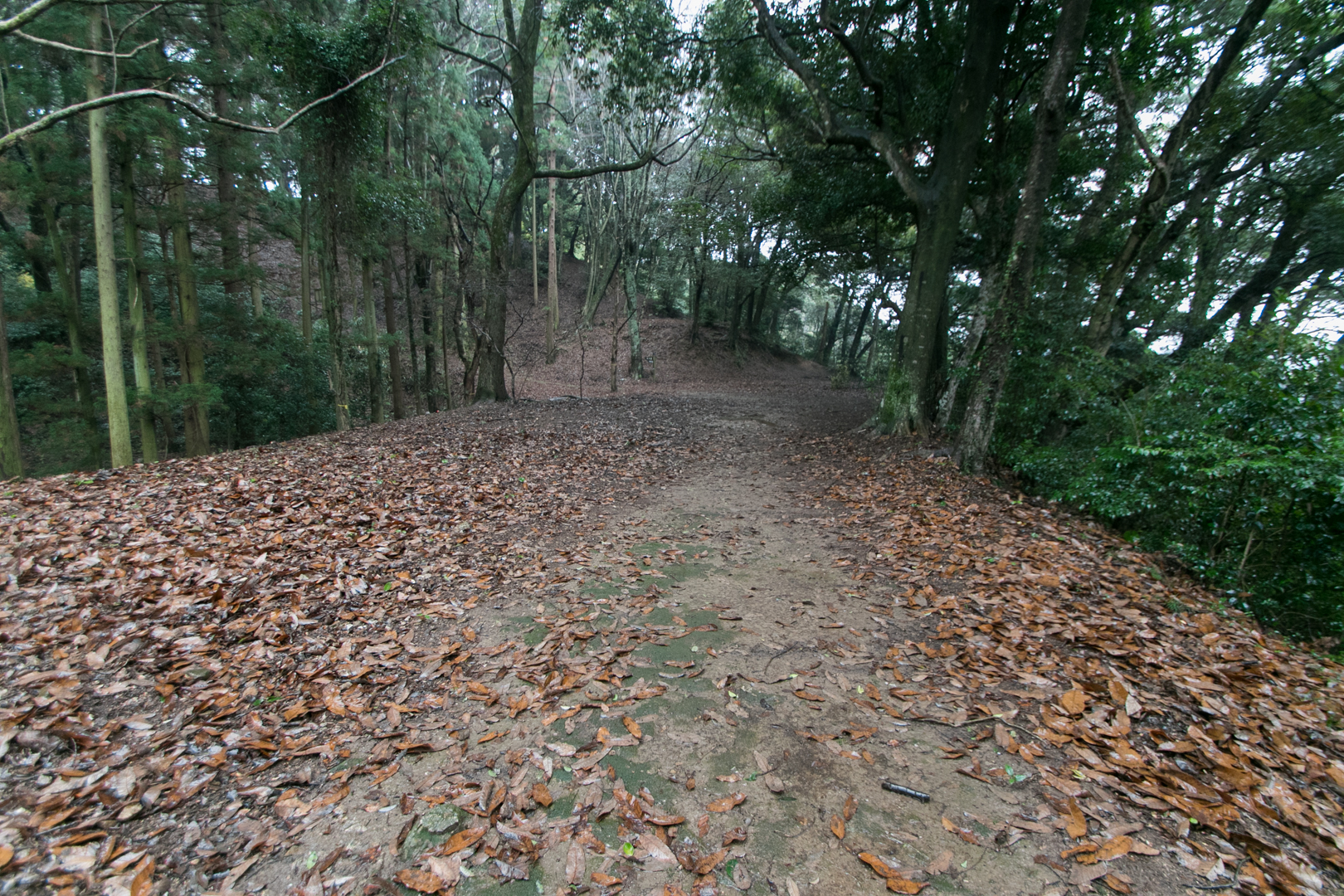 Nanao Castle (Iwami) -Preparation for both of war and peace- | Ken's ...