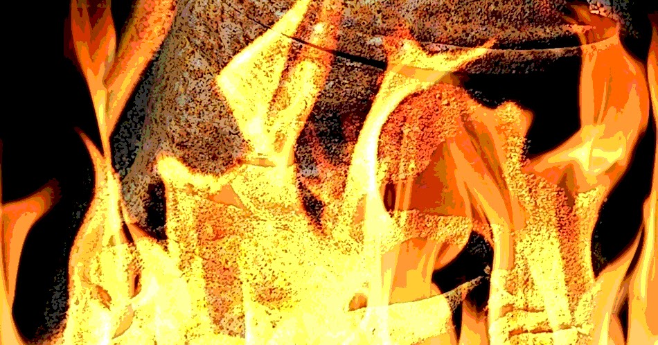 Black Lodge Relics: Skid Row - Matt Fallon Demos