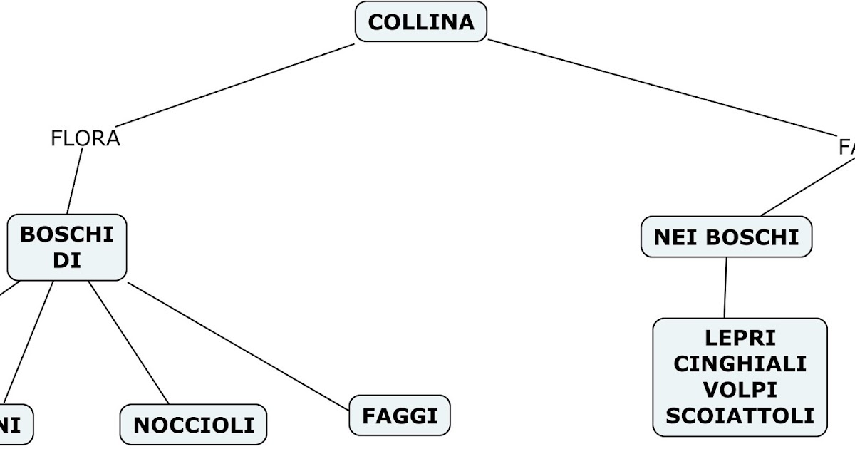 GEOGRAFIA TERZA: MAPPE CONCETTUALI FLORA E FAUNA COLLINA ATTIVITA' IN ...