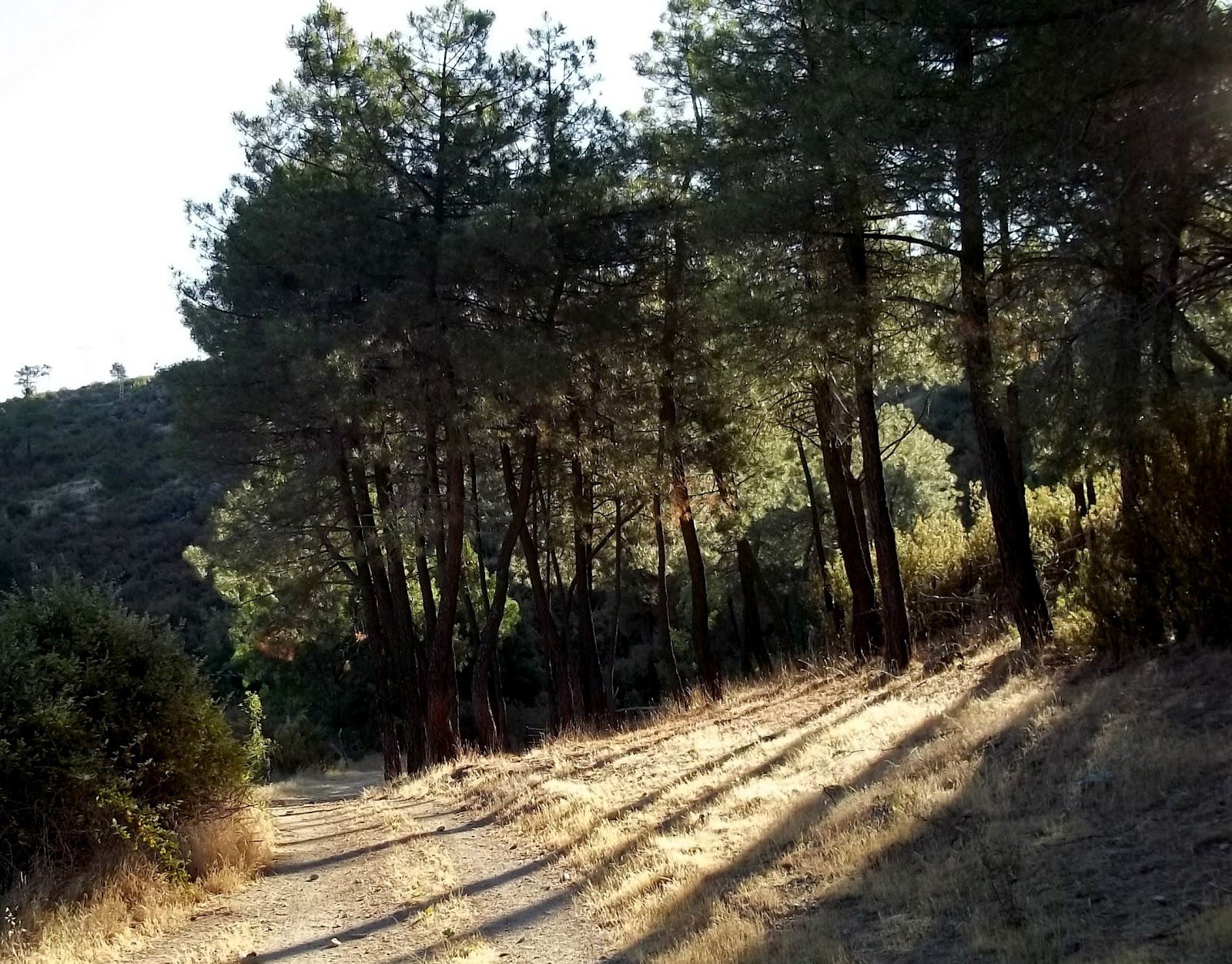 SIGUE EL SENDERO: * Río Cofio.