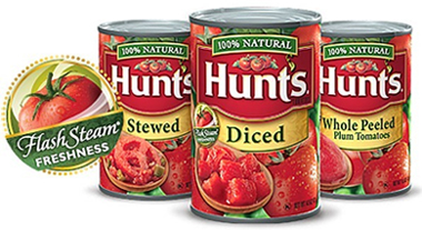 Mundo Das Marcas: HUNT'S