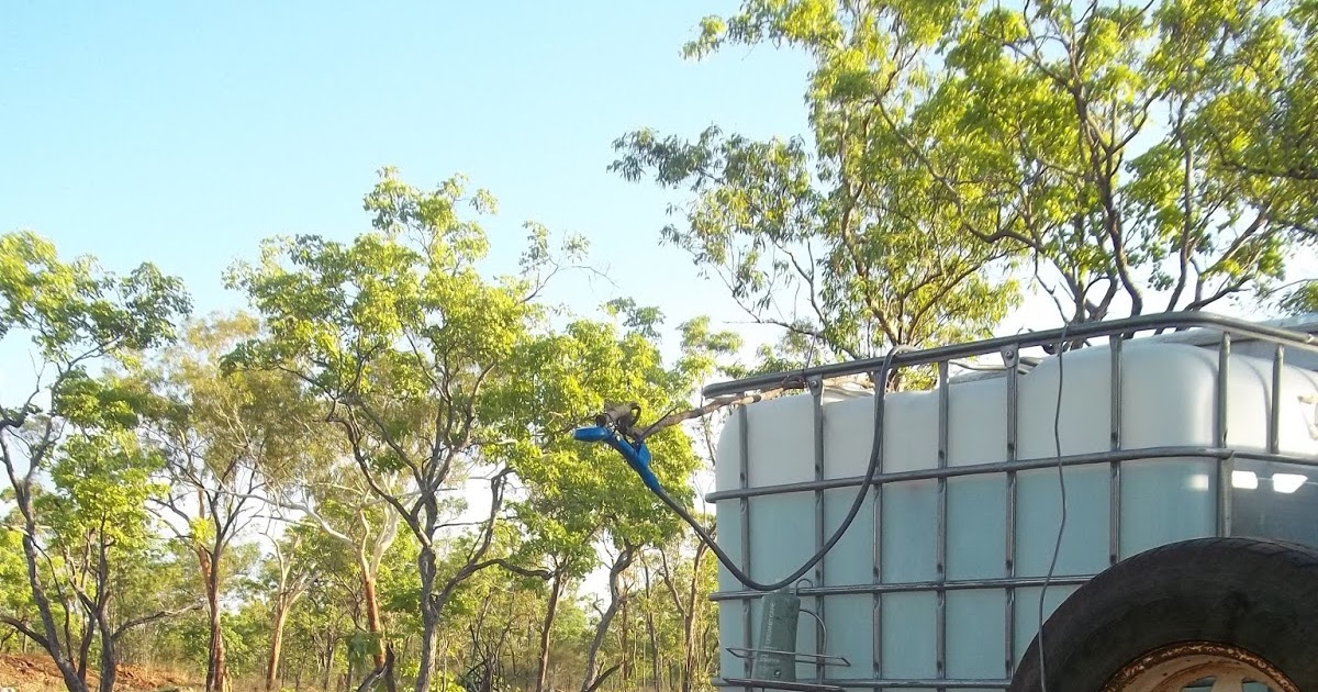 Off Grid in the Tropics: Plan B