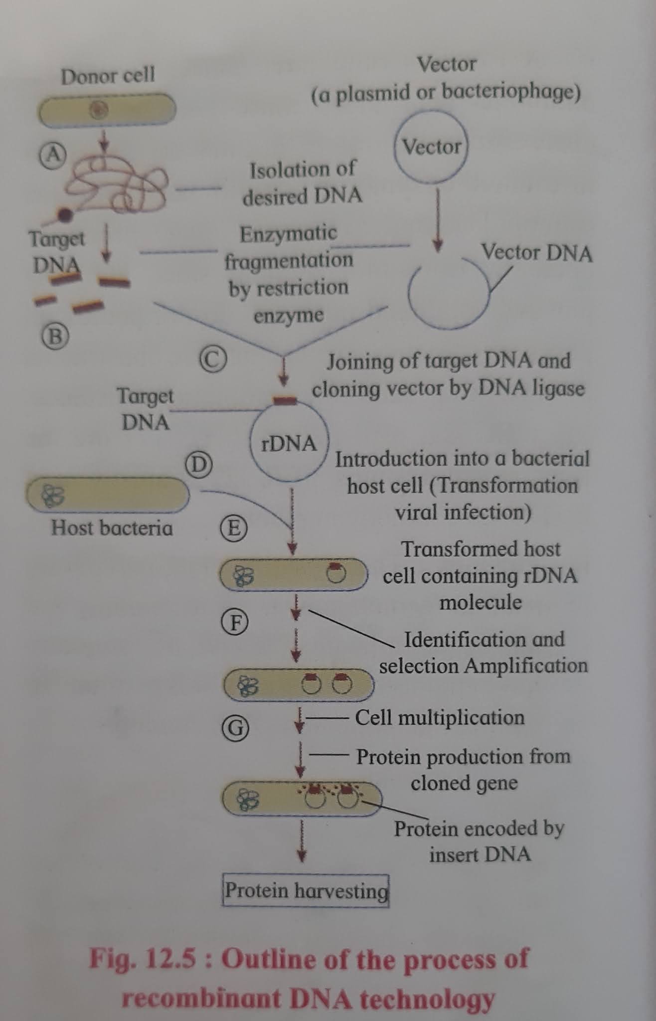 Biology4U: August 2021