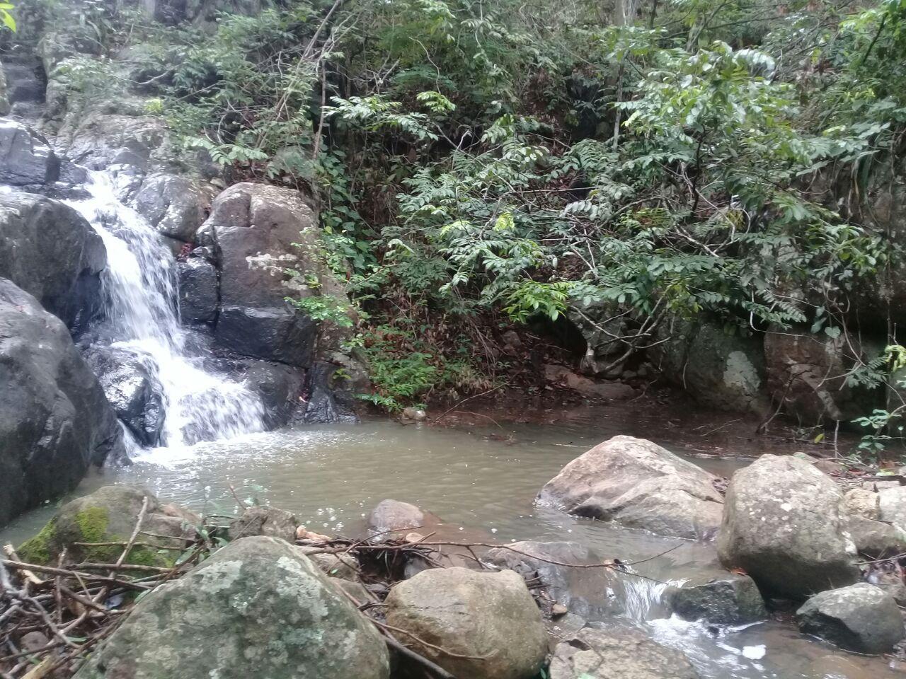 Guayana: Eje Sur Upata Santa Elena de Uairén
