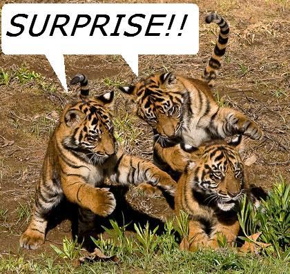 Symdaddy Humour: 104. Surprise!!!
