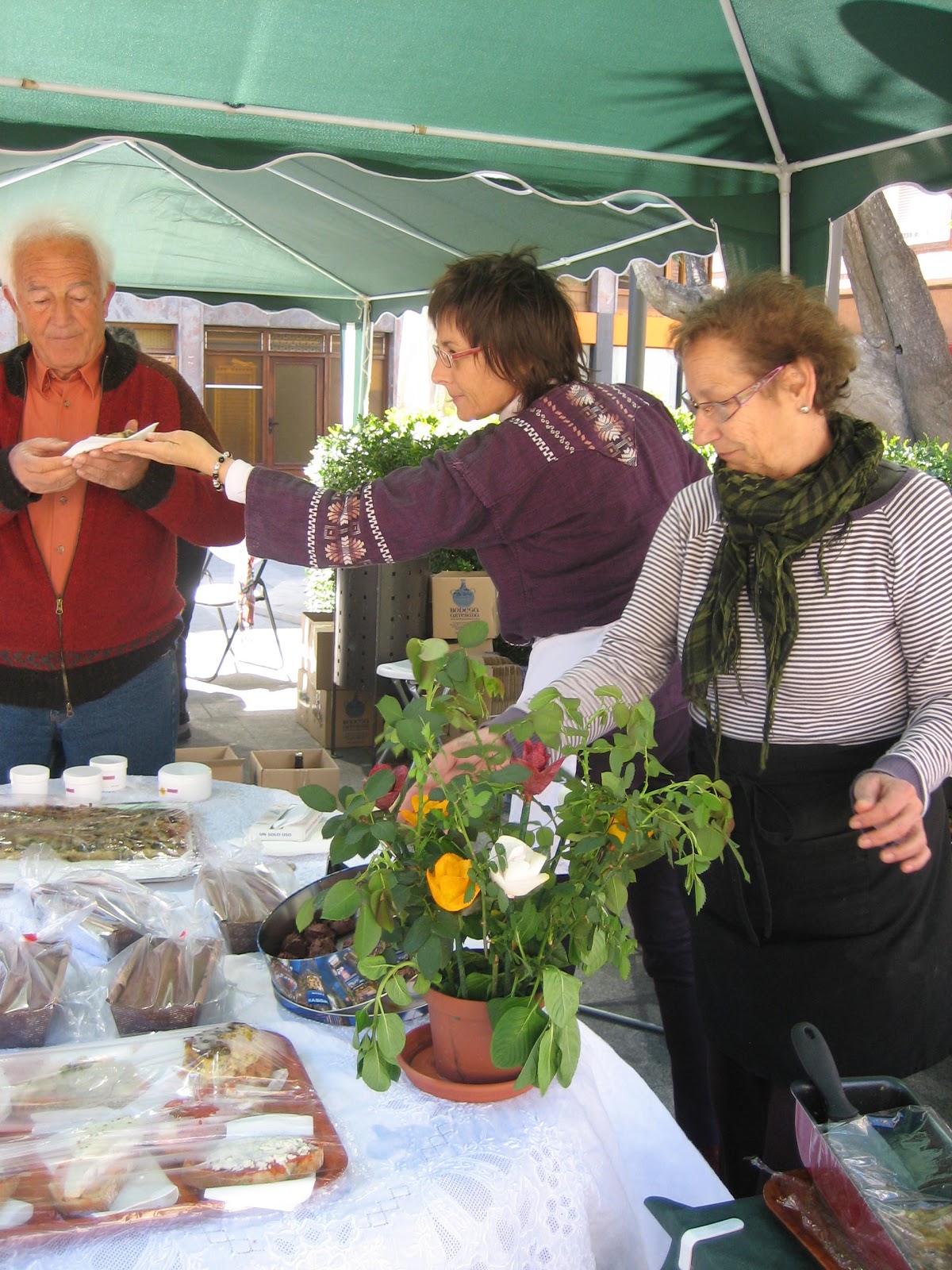 ALCULTURAL: Mercat de la terra- ARRELS