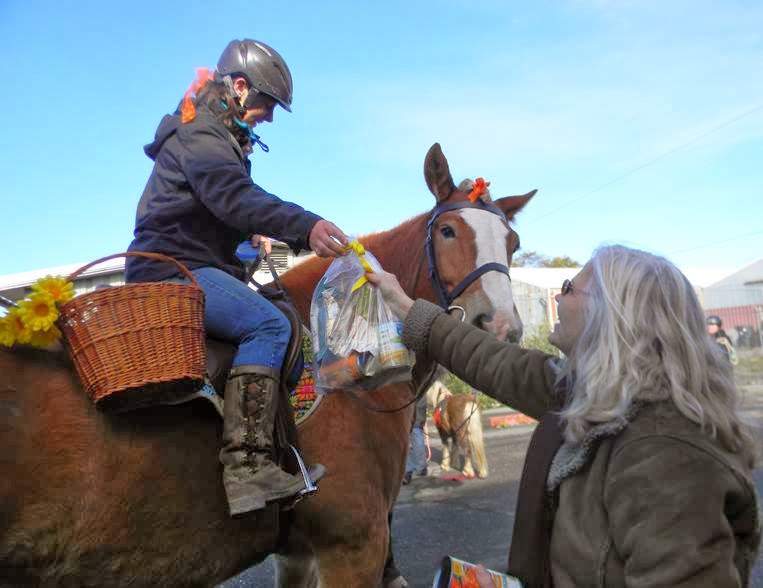 Jackson Hill Horsey Girl: 2013