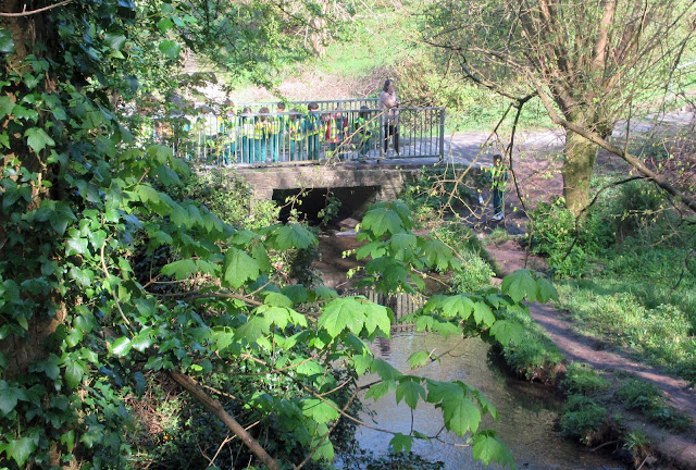 Stroll in the Glen River Park April 2021