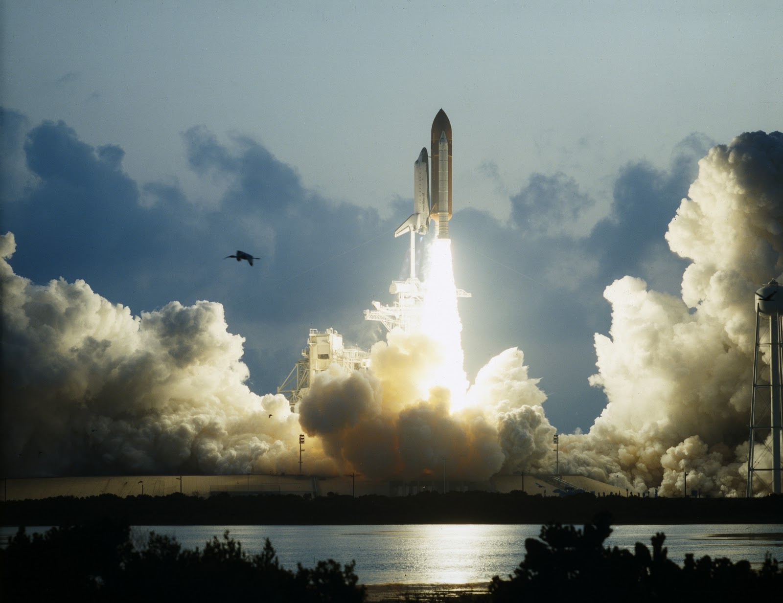Welcome to my mind.: Space Shuttle Endeavour: Did you know...?