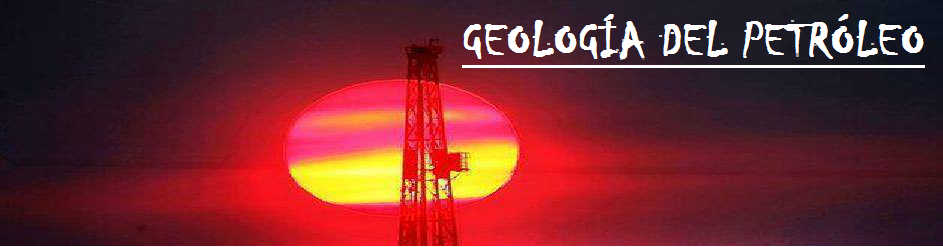 Geología del Petróleo: KERÓGENO