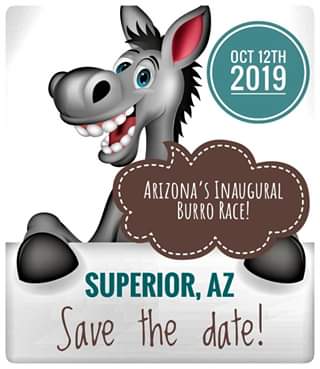 Forever Home Donkey Rescue: BURRO RACING IN ARIZONA