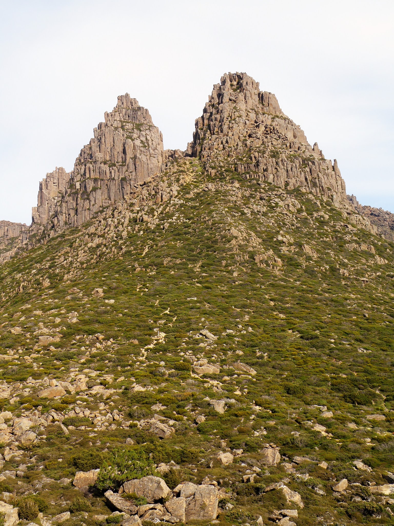 Goin' Feral One Day At A Time: Pelion Hut to Mt Ossa return, Overland ...