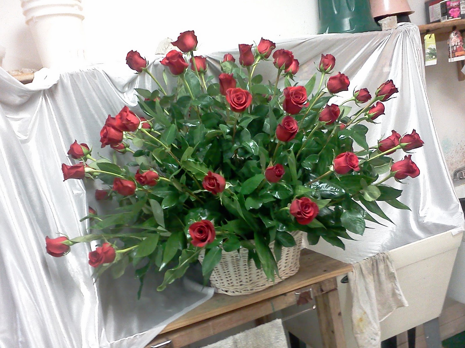 Garden Of Eden Florist: Roses , roses and more roses!!!