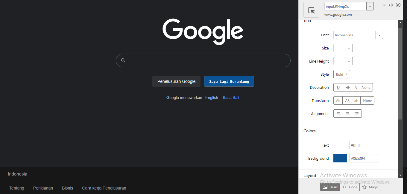Extension Google Chrome
