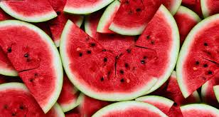 HISTORY OF THE WATERMELON | 1st Historian