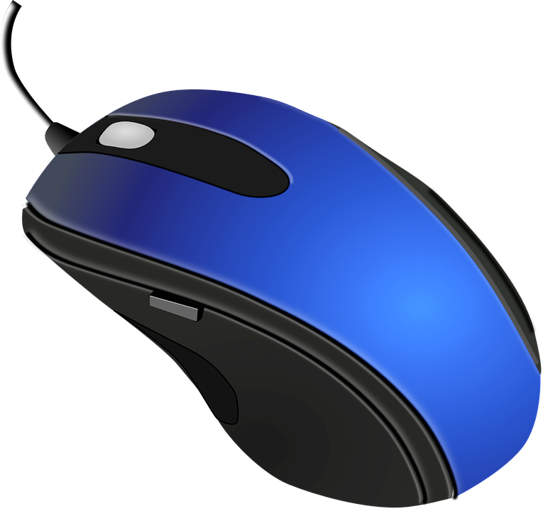 Tasmiah's Reverie: Input and Output devices