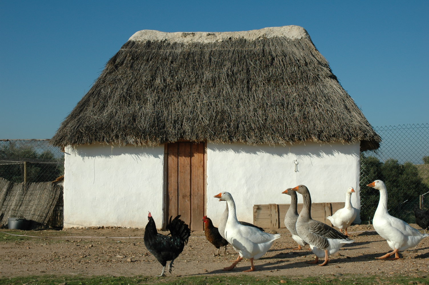 Chozas de Córdoba.: febrero 2016