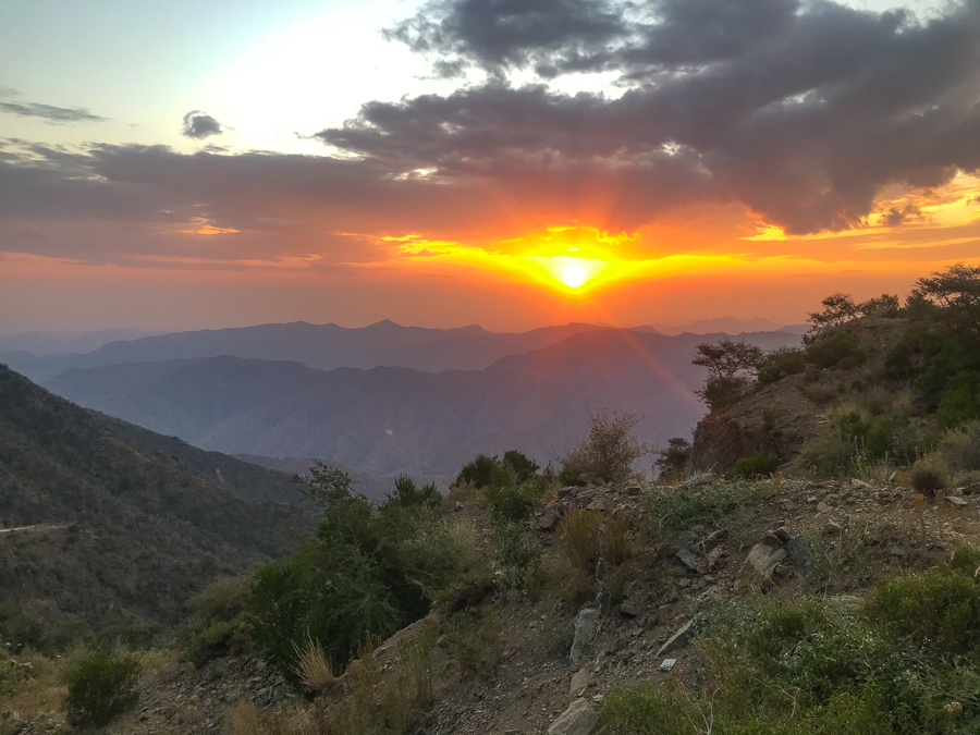 Birds of Saudi Arabia: Resident birds – Raydah Escarpment
