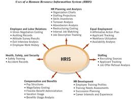 Information Systems and HRIS in Action...: HRIS MODEL