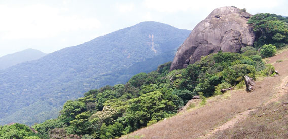 Pakshipathalam Bird Sanctuary