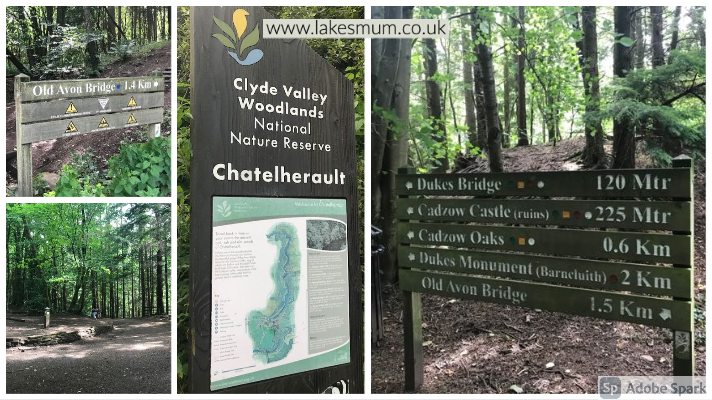 Lakes Single Mum: Chatelherault Country Park