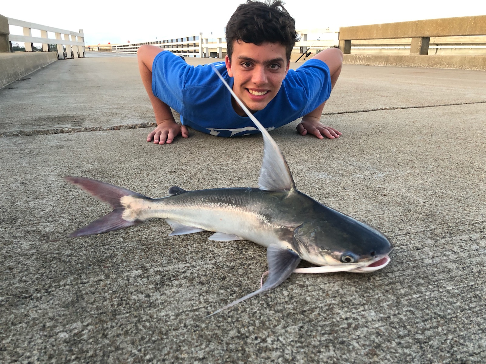 Canoeing In Ohio: Gafftopsail Catfish Next >