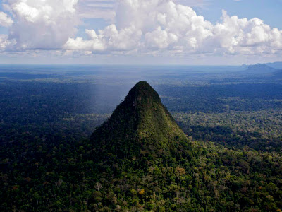 Área protegida sin protección...La única cordillera amazónica en Perú ...