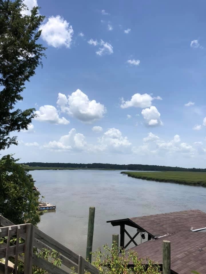 Ode to Sapelo – Common Threads