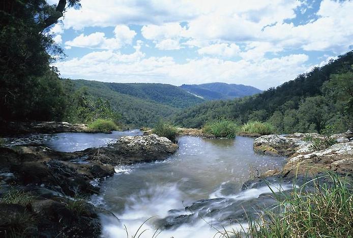 Springbrook National Park, Australia (with Map & Photos)