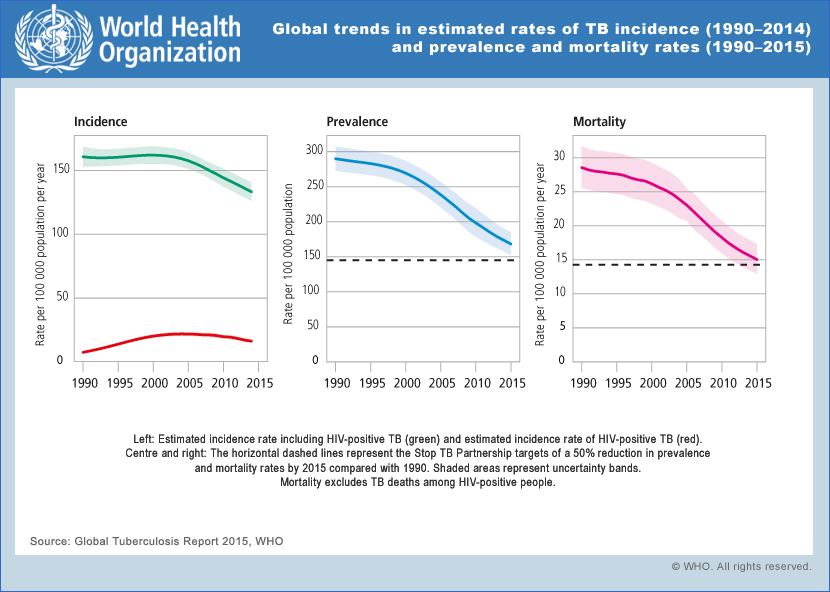 FRANCO BRUGNOLA: WHO: TUBERCULOSIS GLOBAL TRENDS