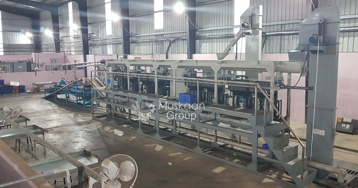 Basic Information to Start a Cashew Processing Business, cashew ...