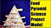 Los terceros del Padilla: MINI PROJECT : THE FOOD PYRAMID