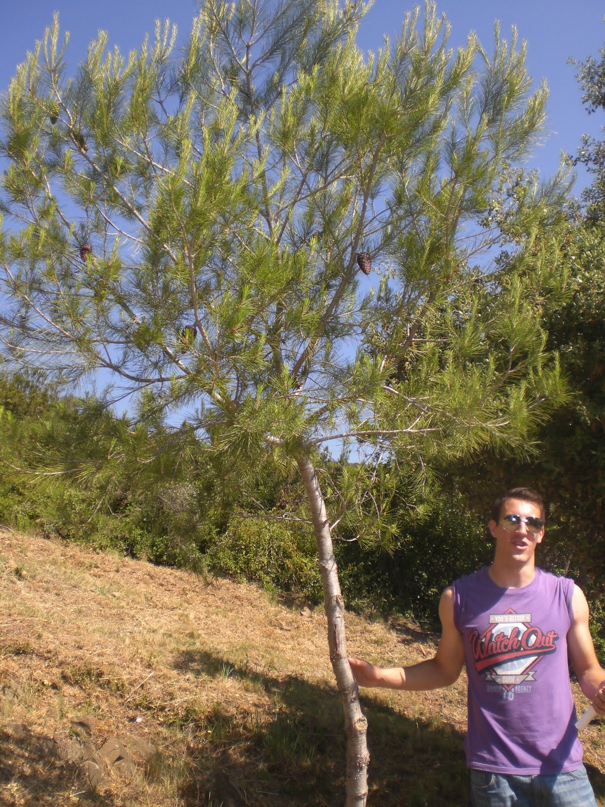 Exploradors * Intrèpids: HERBOLARI 23-05-11