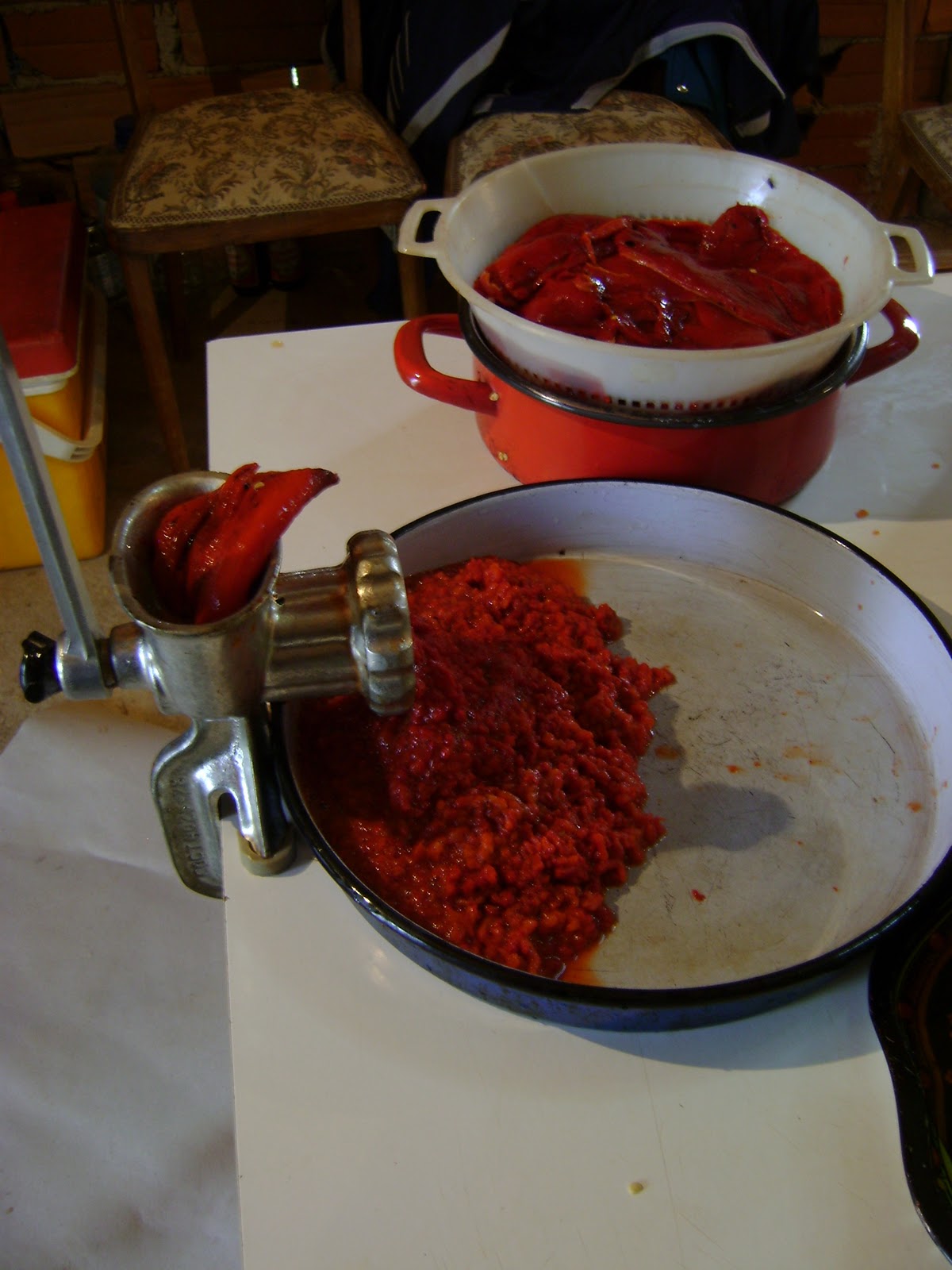 Michelle's Macedonian Adventures: Ajvar Making 101