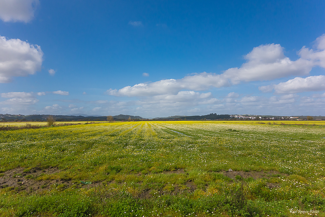 À DESCOBERTA DO MEU PAÍS: Ribatejo - Valada do Ribatejo